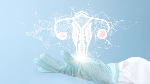 Reproductive Biology - Veterinary Integrative Biosciences